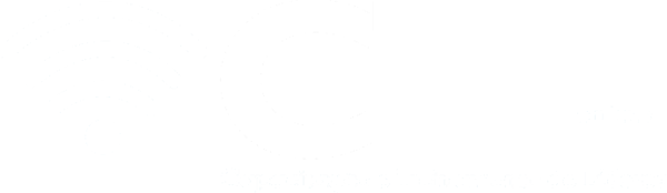 Dashboard - CTL